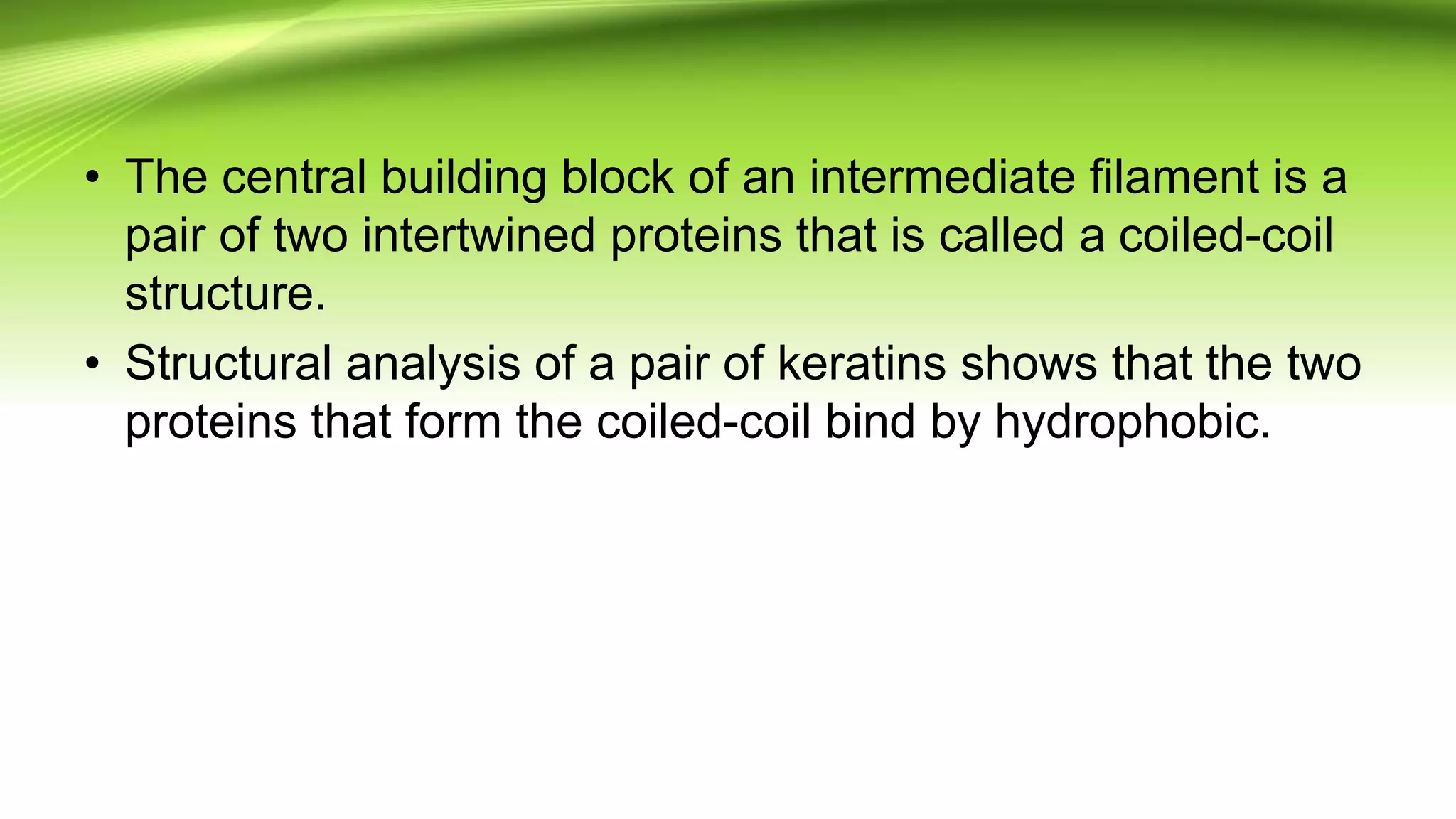 Intermediate filament | PPTX