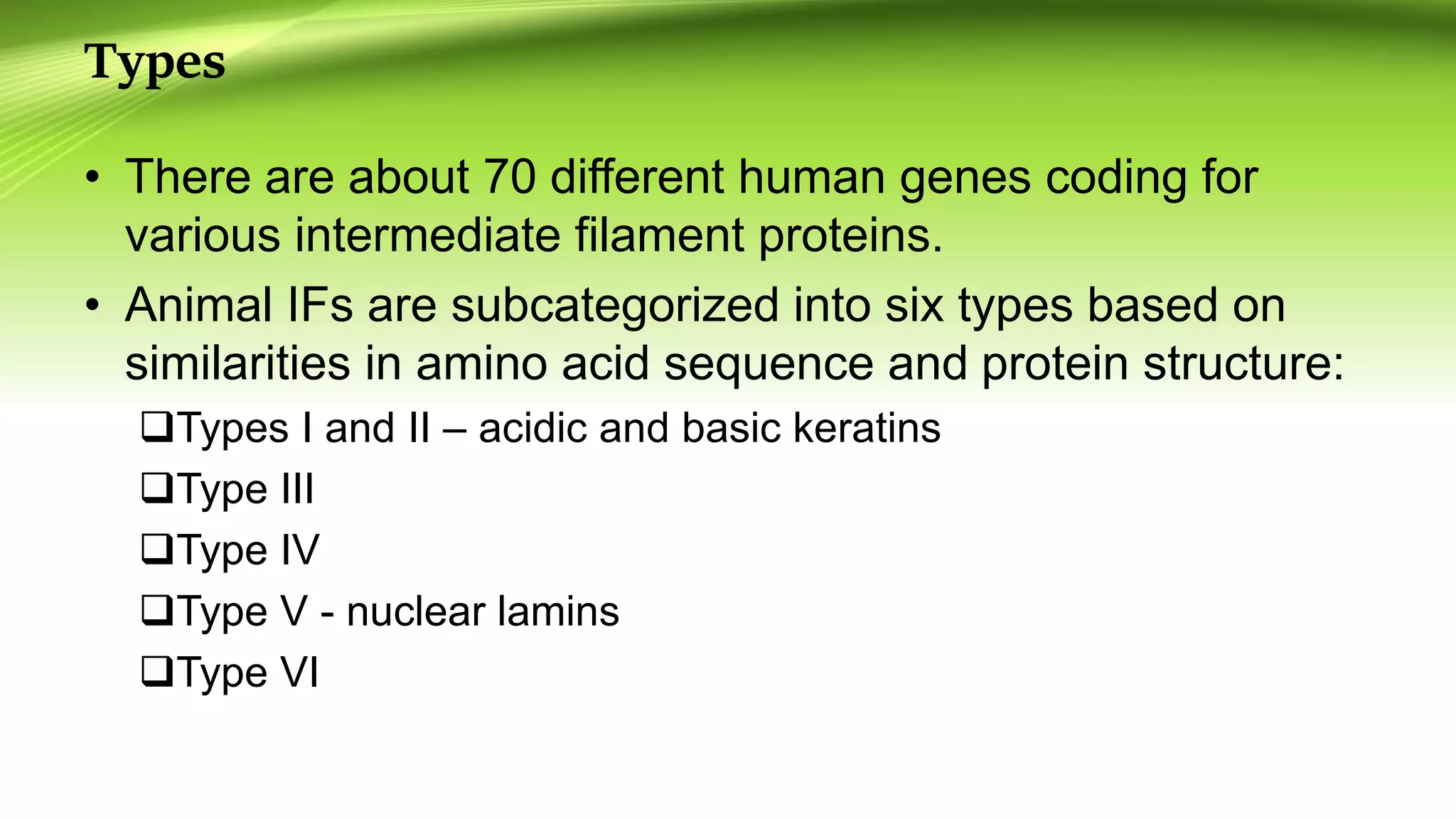 Intermediate filament | PPTX