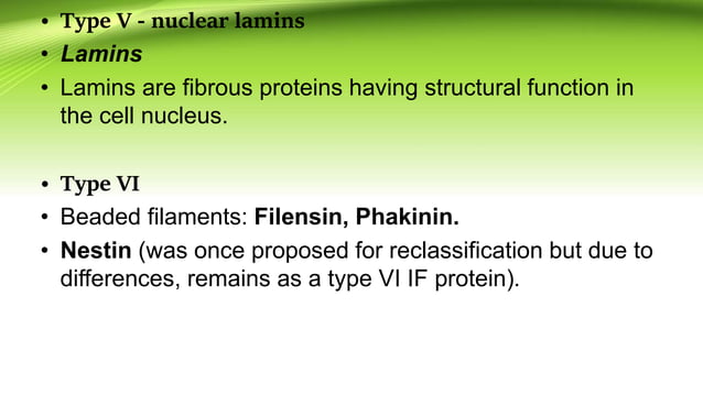 Intermediate filament | PPTX