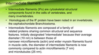 Intermediate filament | PPTX