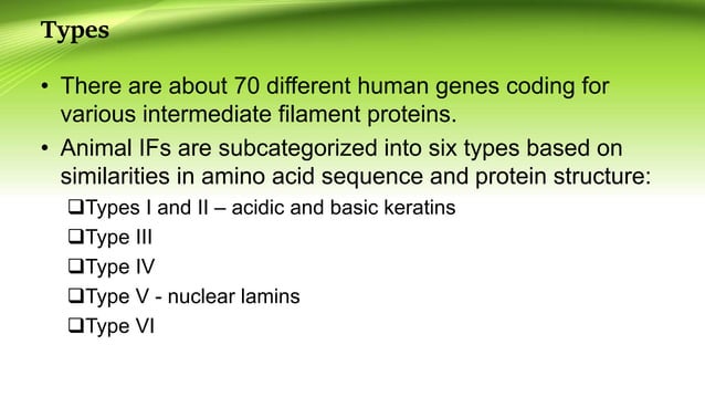 Intermediate filament | PPTX