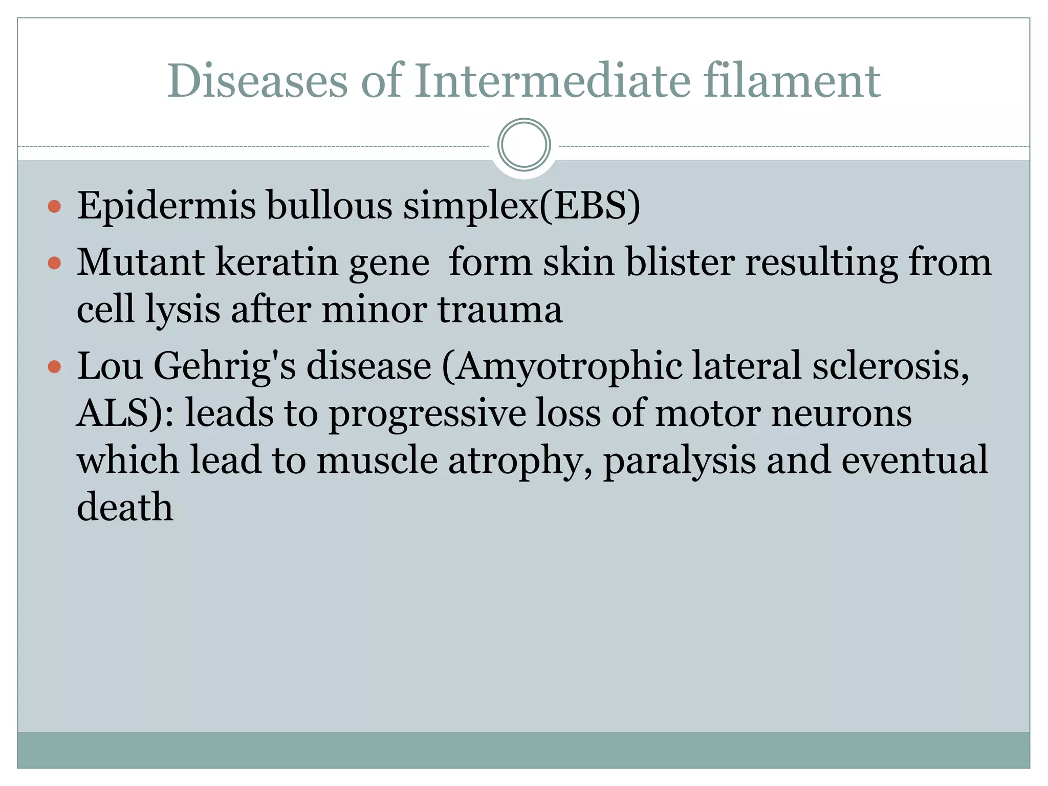 Intermediate filaments | PPTX