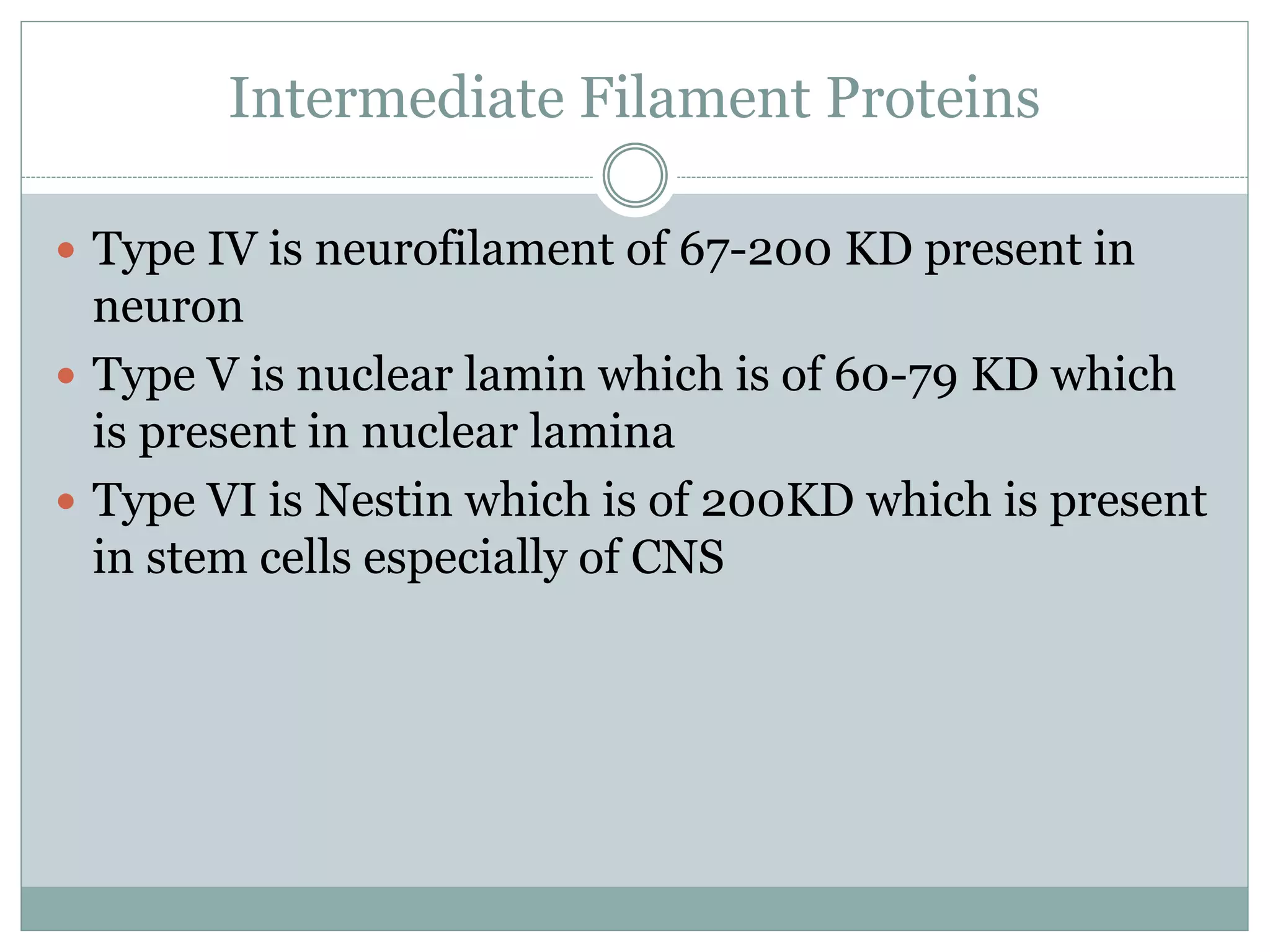 Intermediate filaments | PPTX