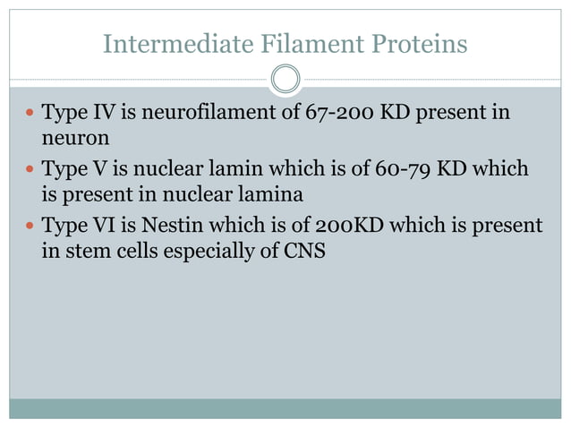 Intermediate filaments | PPT
