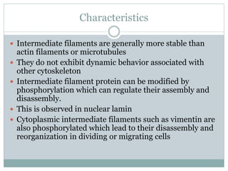 Intermediate Filament Function
