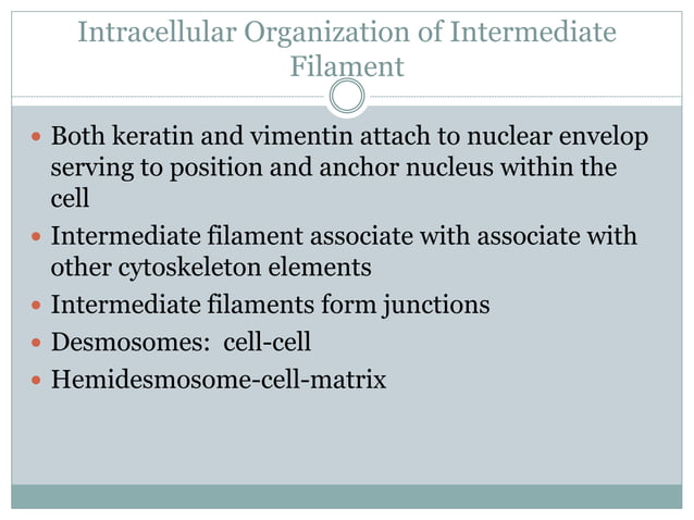 Intermediate filaments | PPT