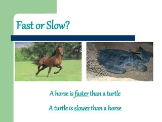 ESL 0823M Intermediate level week 8- comparatives and superlatives | PPT