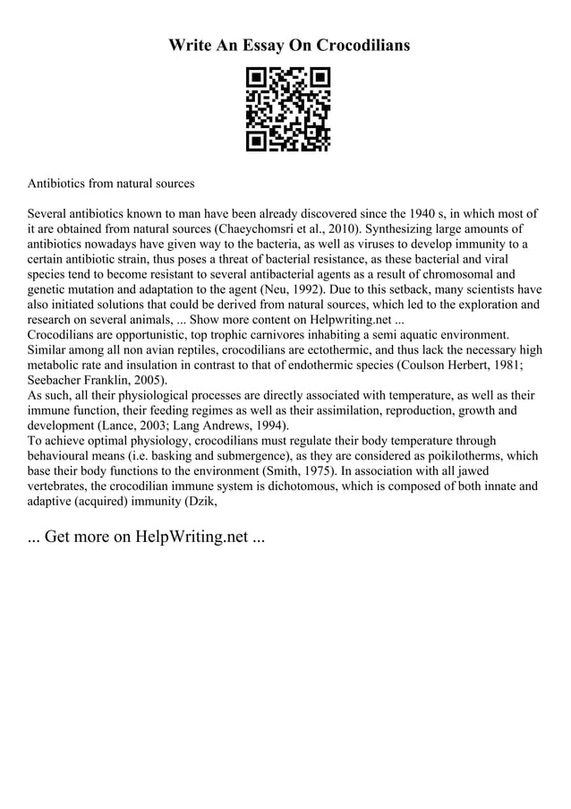 Intermediate Level Essay Example | PDF