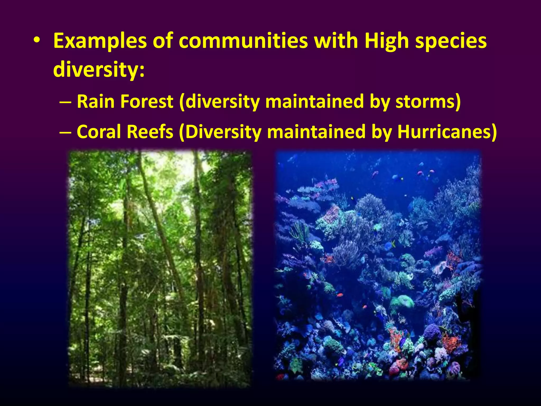 Intermediate level of disturbance hypothesis (idh) | PPTX