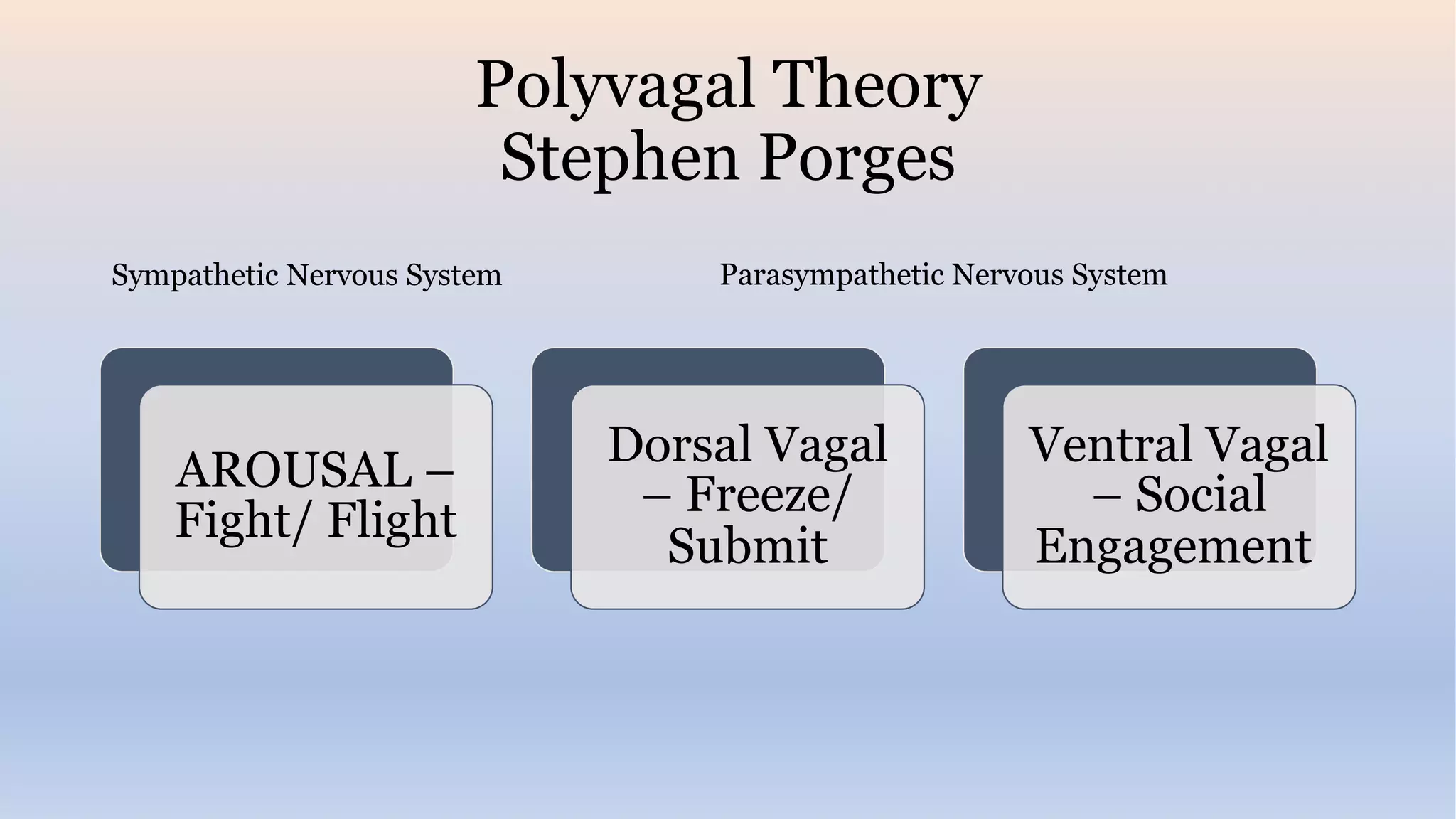 Intermediate presentation KAP | PDF