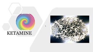 Intermediate presentation KAP | PDF