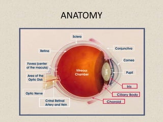 Intermediate uveitis | PPTX
