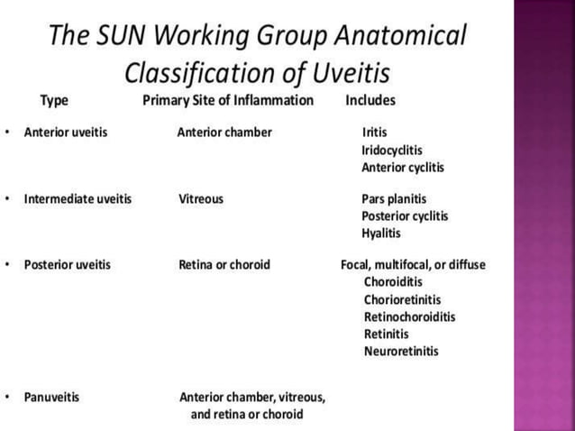 INTERMEDIATE AND POST. UVEITIS | PPTX
