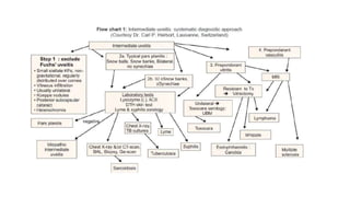 Intermediate uveitis | PPTX | Eye and Vision Conditions | Diseases and ...