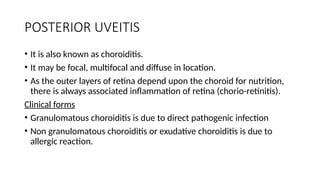 INTERMEDIATE UVEITISisaopthalmology.pptx