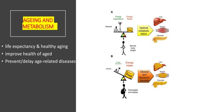 Intermittent fasting and health | PPTX | Endocrine and Metabolic Diseases | Diseases and Conditions