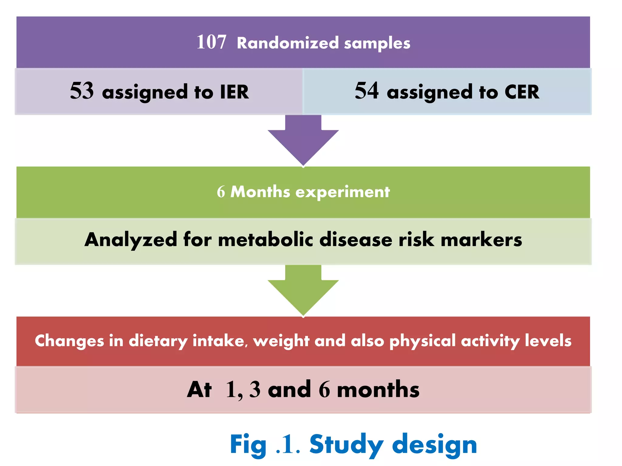 Intermittent fasting and Autophagy | PPTX | Endocrine and Metabolic Diseases | Diseases and ...