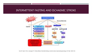 Intermittent Fasting; Beneficial or Harmful? | PPTX