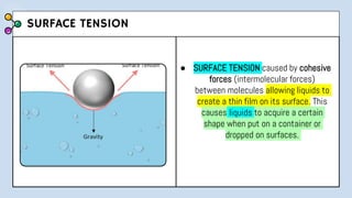 INTERMOLECULAR FORCES | PPTX