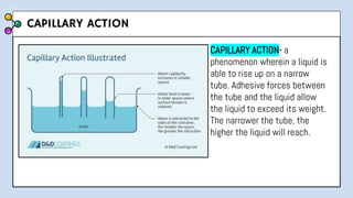 INTERMOLECULAR FORCES | PPTX
