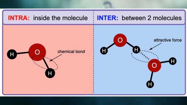 INTERMOLECULAR FORCES.pptx | Chemistry | Science