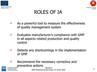 Interna audit module | PPTX