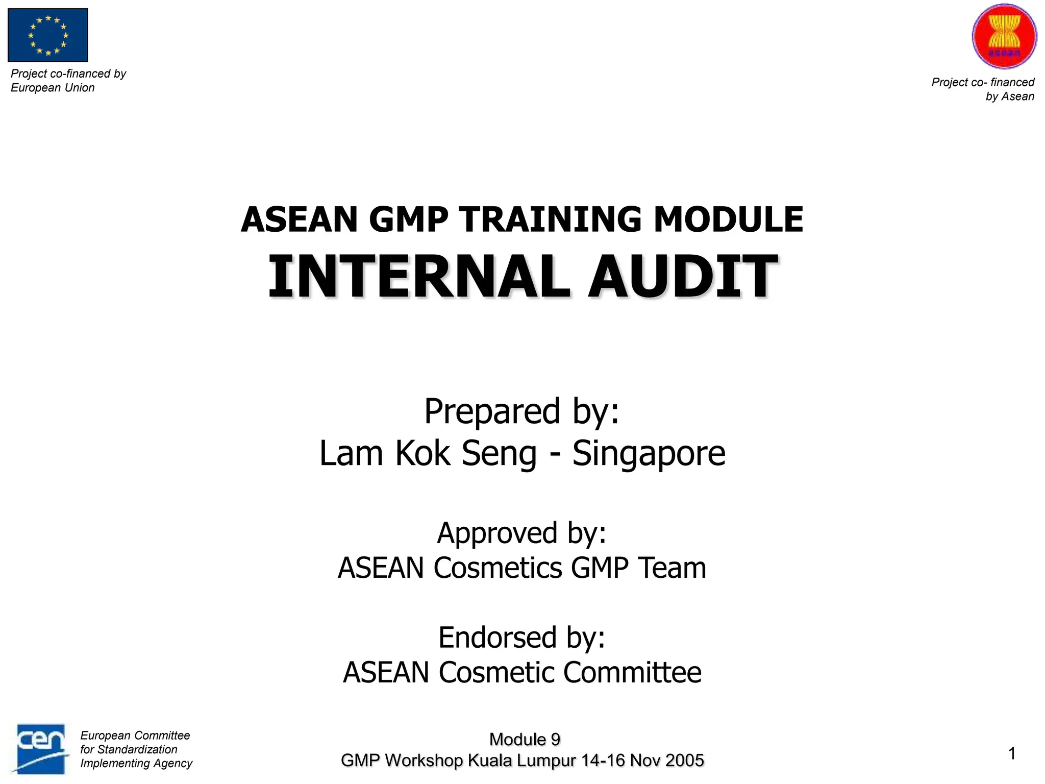 Interna_ Audit_Module.ppt