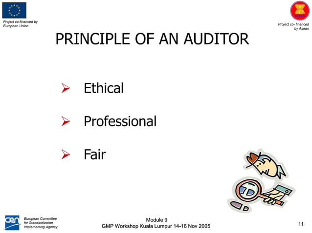 Interna_ Audit_Module.ppt