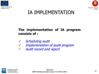 Interna_ Audit_Module.ppt