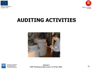 Interna_ Audit_Module (1).ppt | Manufacturing Industry | Industries