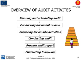 Interna_ Audit_Module (1).ppt | Manufacturing Industry | Industries