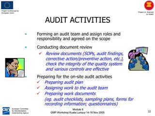 Interna_ Audit_Module (1).ppt | Manufacturing Industry | Industries