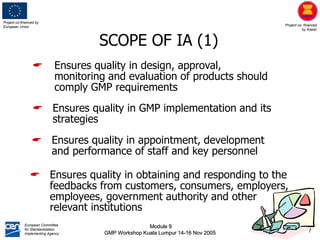 Interna_ Audit_Module (1).ppt | Manufacturing Industry | Industries