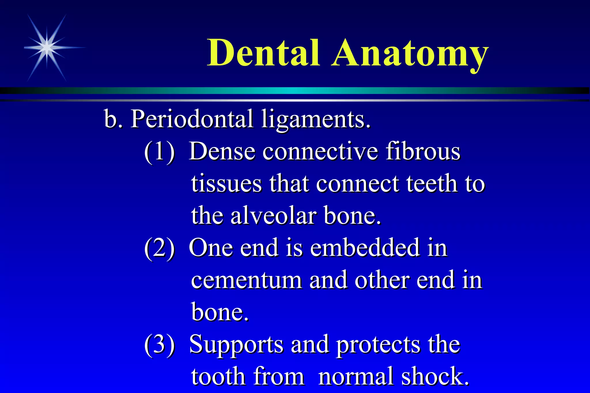 ANATOMY of TEETH 2 1. Anatomy of a tooth. a. Anatomical crown ... | PPT