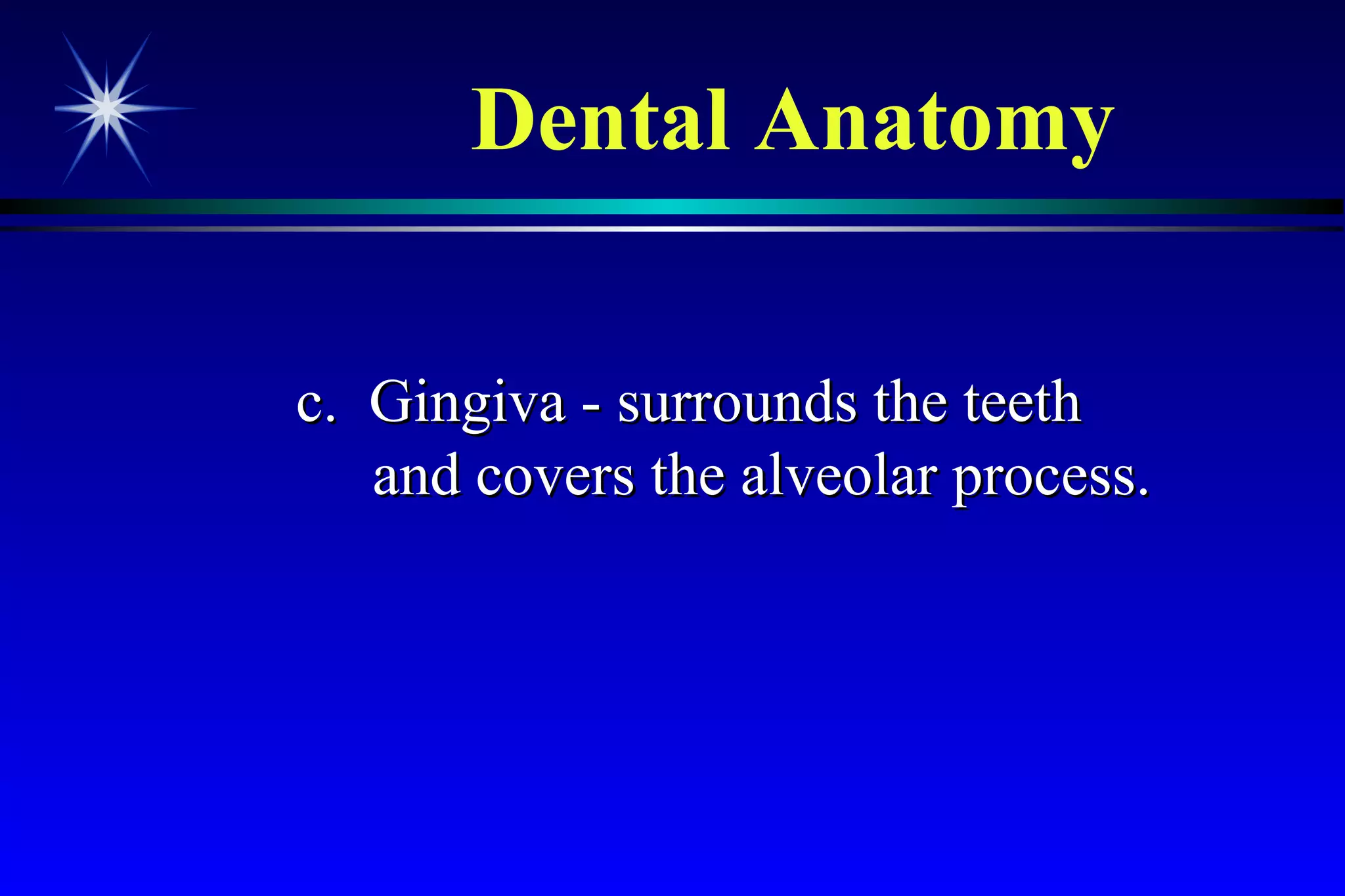 ANATOMY of TEETH 2 1. Anatomy of a tooth. a. Anatomical crown ... | PPT