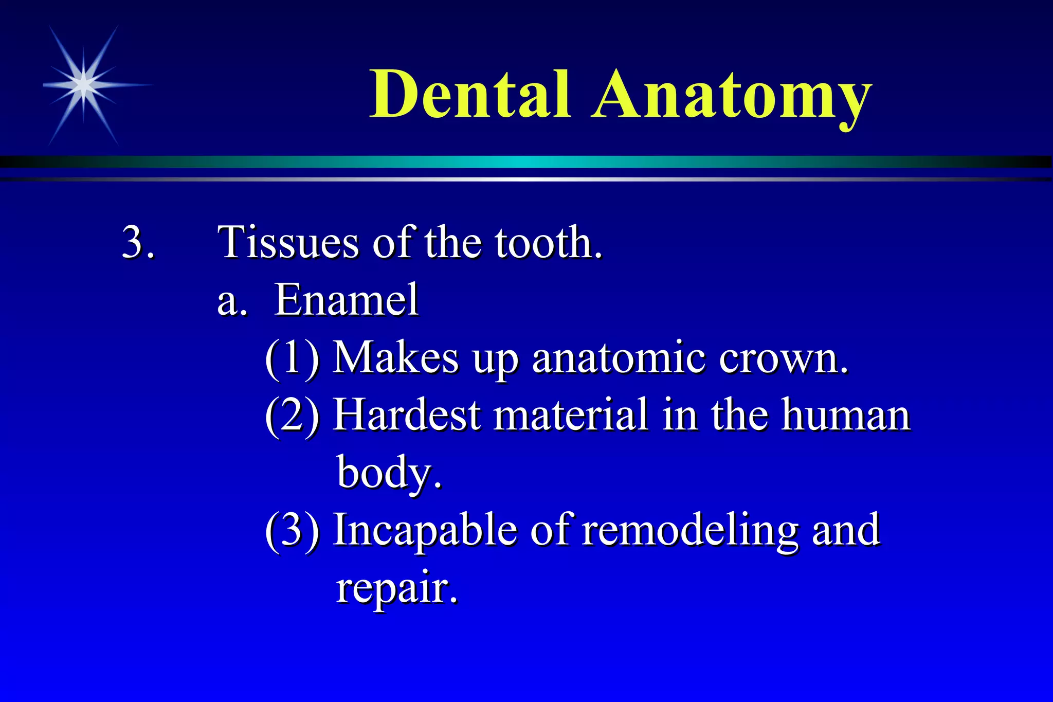 ANATOMY of TEETH 2 1. Anatomy of a tooth. a. Anatomical crown ... | PPT