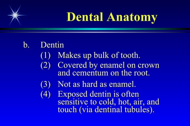 ANATOMY of TEETH 2 1. Anatomy of a tooth. a. Anatomical crown ... | PPT ...