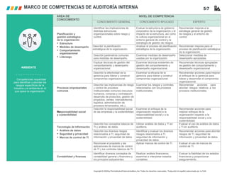internal-audit-competency-framework-spanish.pdf