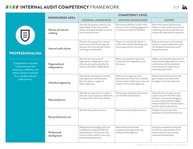 internal-audit-competency-framework (1).pdf