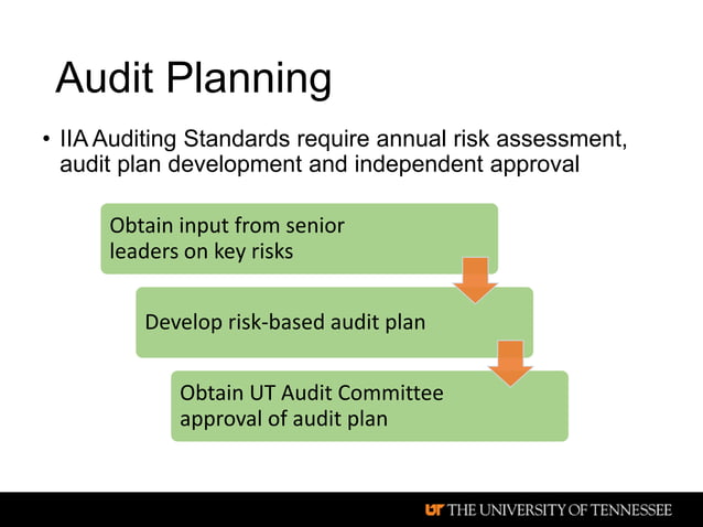 internal-audit-overview.pptx is for the students | PPTX