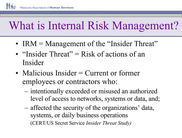 Internal Risk Management | PPT