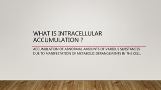 Internal accumulation by ramkesh chauhan | PPTX