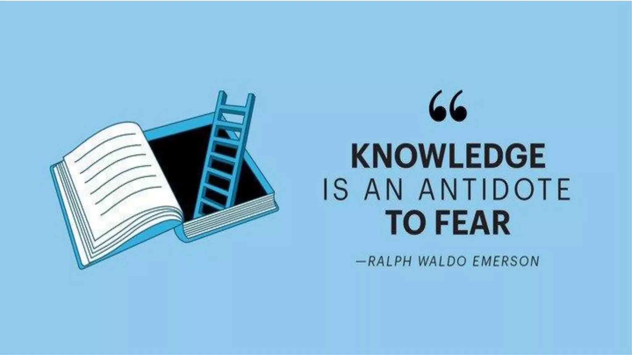 INTERNAL ANATOMY CLASSIFICATION.pdf