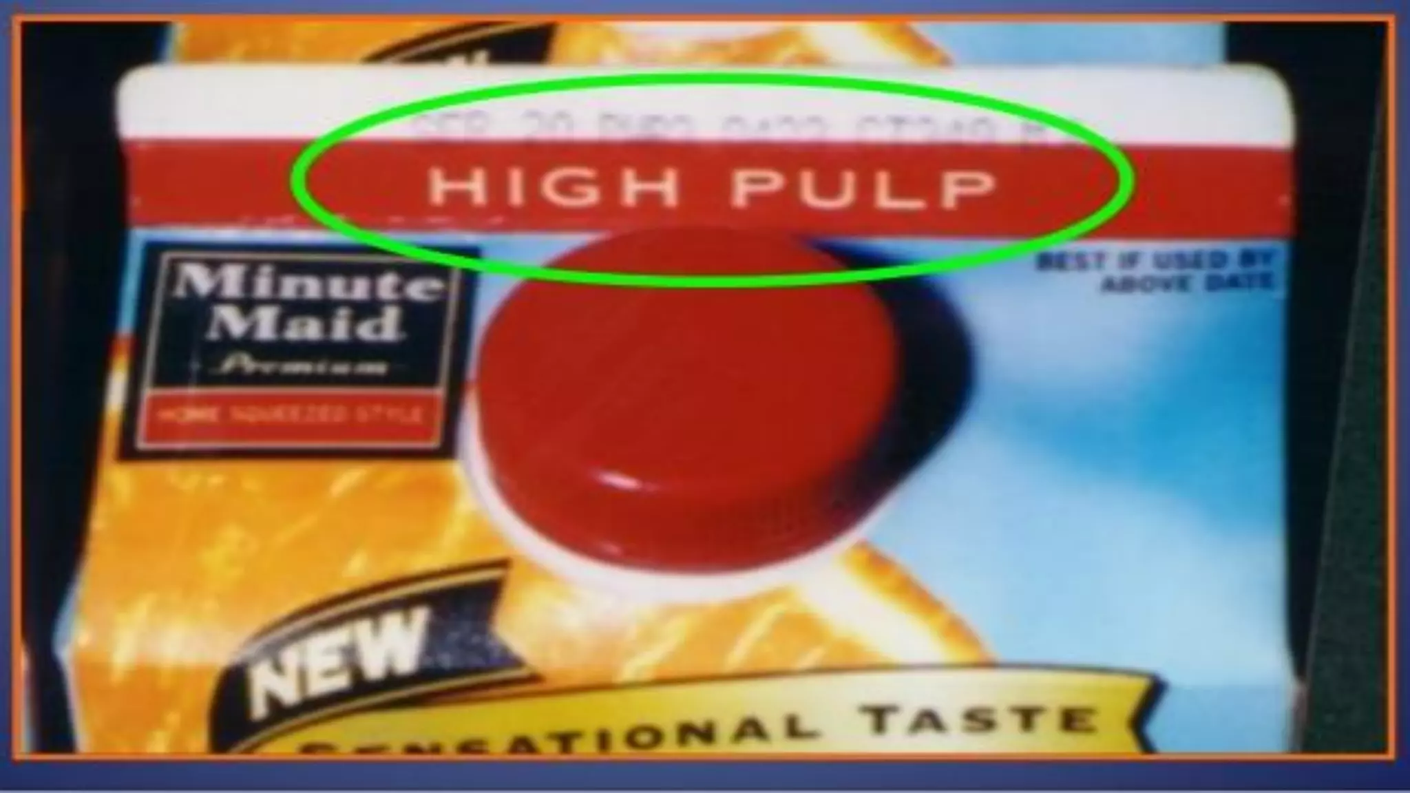 INTERNAL ANATOMY CLASSIFICATION.pdf