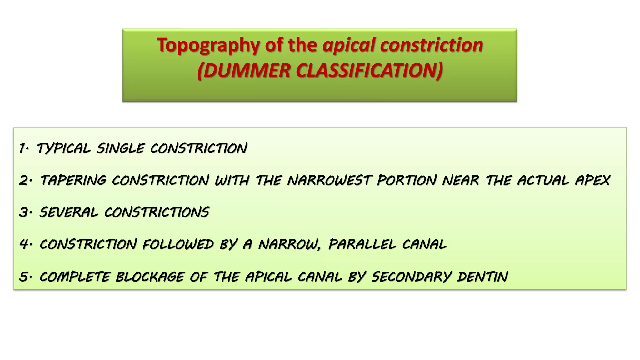 INTERNAL ANATOMY CLASSIFICATION.pdf