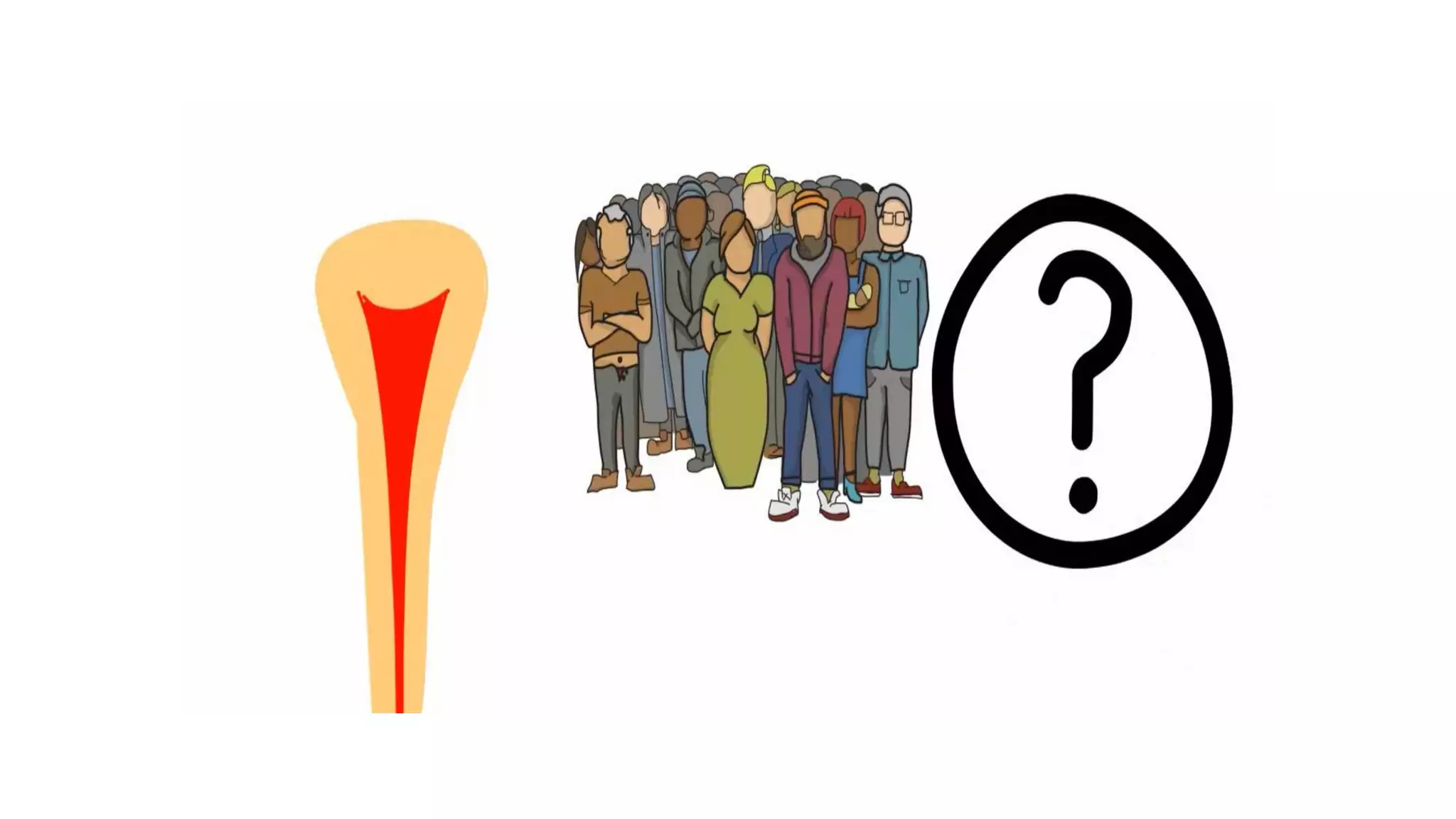 INTERNAL ANATOMY CLASSIFICATION.pdf