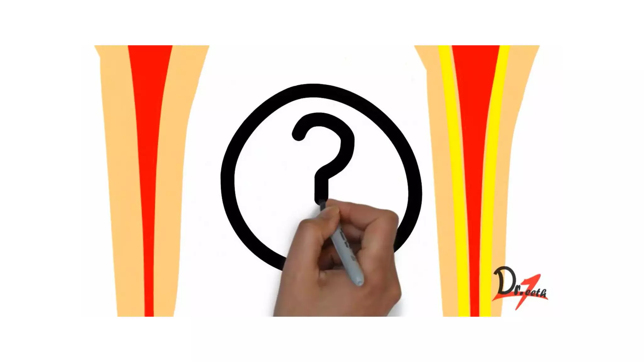 INTERNAL ANATOMY CLASSIFICATION.pdf