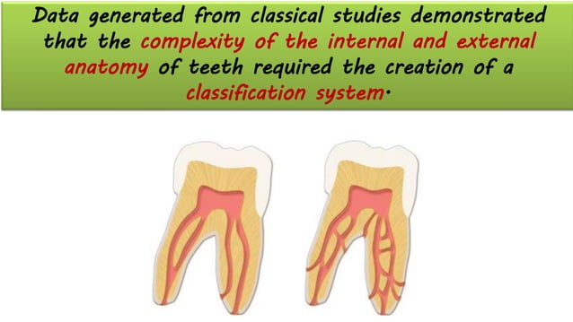 INTERNAL ANATOMY CLASSIFICATION.pdf
