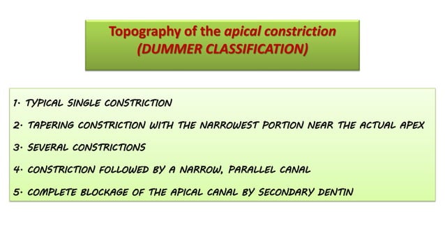 INTERNAL ANATOMY CLASSIFICATION.pdf