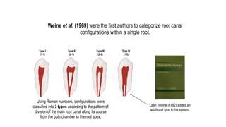 INTERNAL ANATOMY CLASSIFICATION.pdf